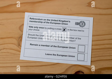 Voting slip for UK EU referendum, Brexit. Leave Stock Photo - Alamy