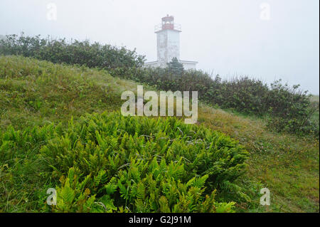 Quaco Head Lighthouse in New Brunswick in Canada Stock Photo - Alamy
