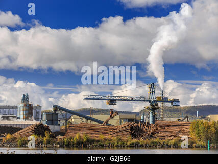 Pulp and Paper mill, Thunder Bay, Ontario, Canada Stock Photo - Alamy