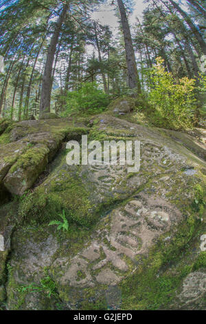 Nuxalk petroglyphs, temperate rainforest, Bella Coola, coastal British ...