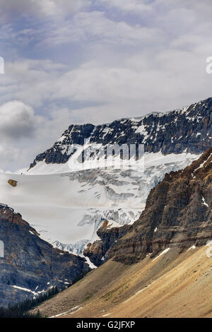 The Crowfoot Glacier viewed from Icefields Parkway Banff National Park ...