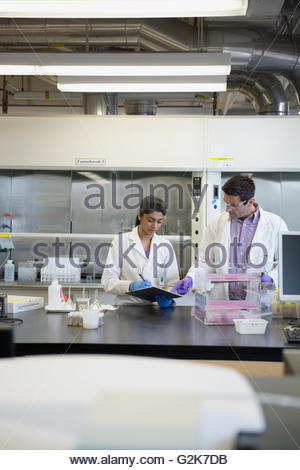 Laboratory technician with clipboard Stock Photo - Alamy