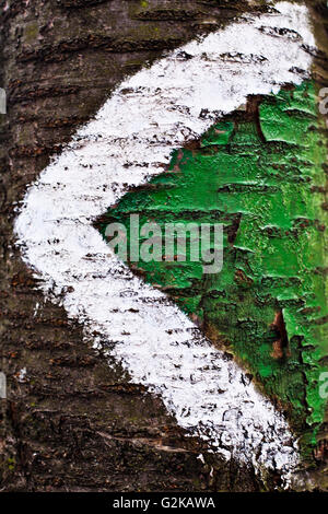 Blaze on tree marking trail along Echo Lakes near the boundary of the ...