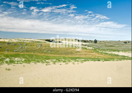 Canada, Saskatchewan, Great Sand Hills. Pattern in sand dunes. Credit ...