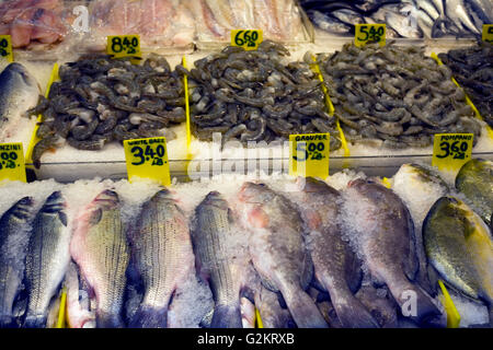Chinatown, New York City, fish store, fish on display Stock Photo - Alamy