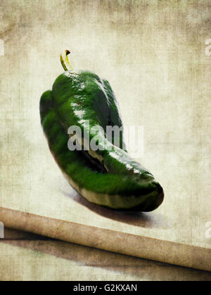 Green Poblano Pepper Stock Photo - Alamy