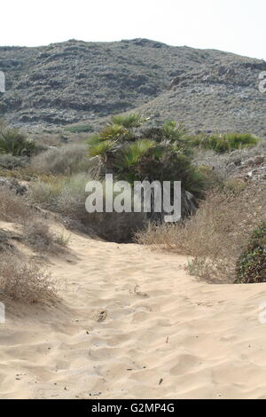 A sandy path leading to the mountains Stock Photo - Alamy