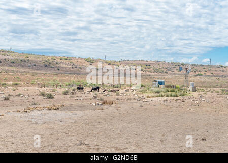 A typical rural Karoo scene in South Africa - a water pumping windmill ...