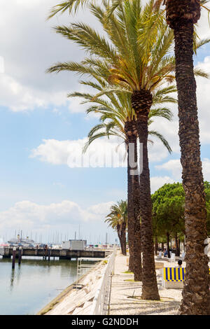 promenade on seaside in european city Stock Photo - Alamy