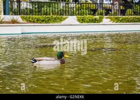 Beverly - yellow sign with blue sky background Stock Photo - Alamy