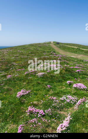 Sunny weather over East Pentire Headland in Newquay, Cornwall Stock ...