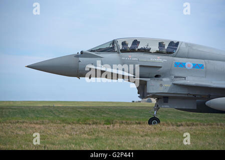 Eurofighter Typhoon FRG4 Military Jet Fighter avoiding bird strike on ...