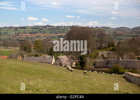 Cotswold cottages, Broad Campden, Gloucestershire, Cotswolds, England ...
