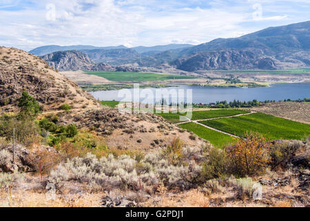 Desert Landscape near Osoyoos, BC, South Okanagan Valley, British ...