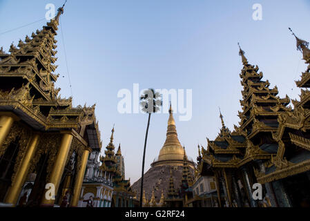 Shawedagon Pagoda, Yangon, Myanmar Stock Photo - Alamy
