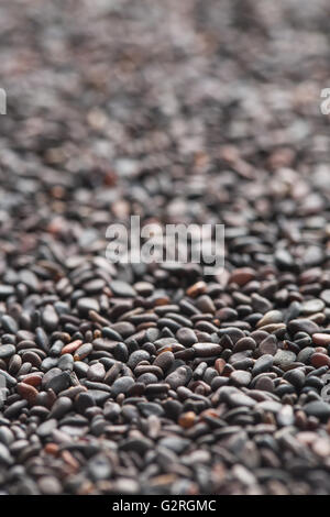 Sesame oil and raw black sesame seeds. A drop of oil fall in a small ...