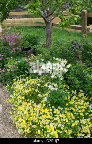 Ryton Organic gardens in spring. Warwickshire, England Stock Photo - Alamy