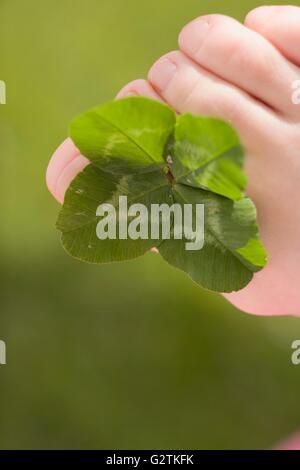 Clover leaves between someone's toes Stock Photo - Alamy