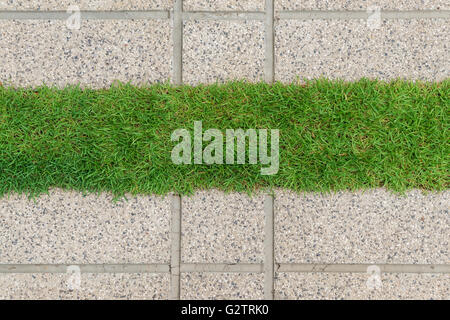 Gravel texture and strip grass as background Stock Photo - Alamy