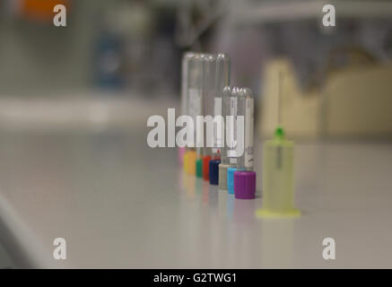 Blood vials, tests, Pathology Stock Photo - Alamy