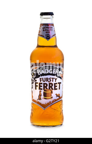 Bottle of Badger Fursty Ferret beer brewed at Hall Woodhouse Blandford ...