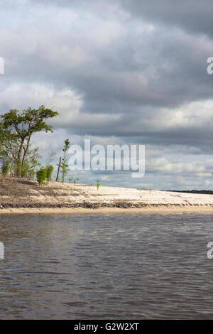 View of amazon river and local vegetation with sky reflected on the ...