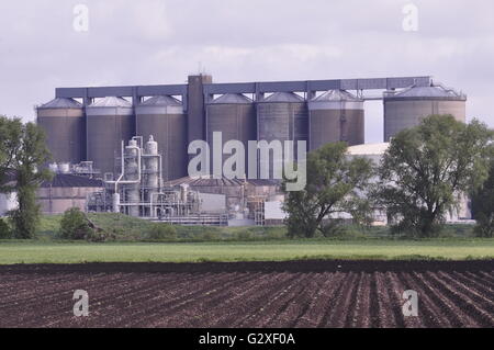British Sugar's Wissington sugar factory, west Norfolk, England UK ...