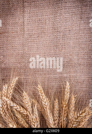 spikelets Wheat corn flax burlap background Stock Photo - Alamy