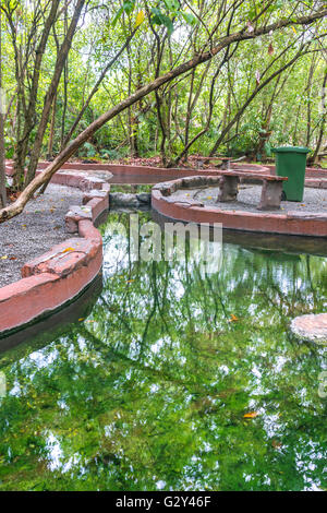 Felda Hot Spring at Sg Klah, Perak, Malaysia Stock Photo - Alamy