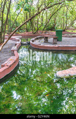 Felda Hot Spring at Sg Klah, Perak, Malaysia Stock Photo - Alamy