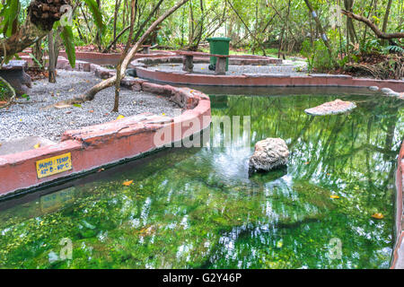 Felda Hot Spring at Sg Klah, Perak, Malaysia Stock Photo - Alamy