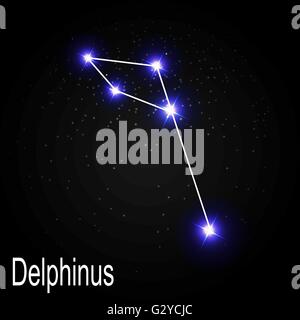 Delphinus (The Dolphin) constellation, vector illustration with the ...
