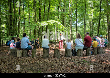 Pierrepont Farm Frensham Surrey UK 5th June 2016. Visitors enjoy a ...