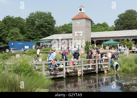 Pierrepont Farm Frensham Surrey UK 5th June 2016. Visitors enjoy a ...