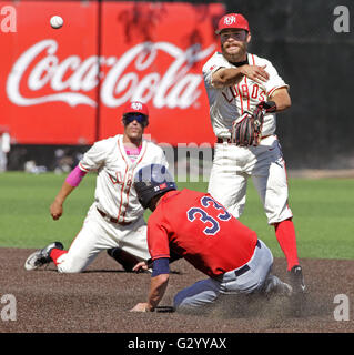 Lubbock, TX, USA. 5th June, 2016. UNM's #24 James Harrington looks to ...