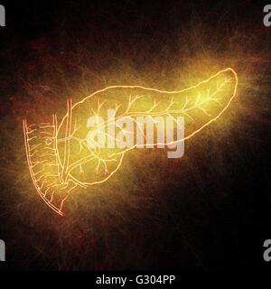 Human pancreas, abstract illustration Stock Photo - Alamy