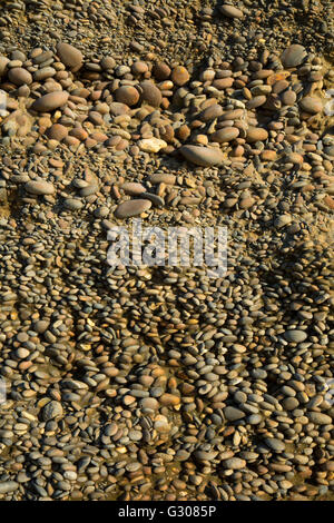 Cobbles in beach cliff at Beach 4 at Kalaloch, Olympic National Park ...