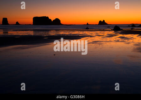 Second Beach sunset, Olympic National Park, Washington Stock Photo - Alamy