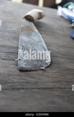 Closeup image of a coconut on the beach with blue sea background Stock ...