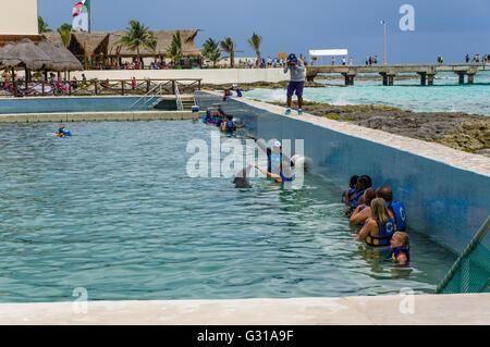 Tourists swim with dolphins at DOlphin Discovery pool in Costa Maya ...