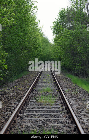 railroad track, decommissioned, overgrown, railroad tracks ...
