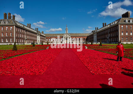 Chelsea Flower Show 2016 Stock Photo - Alamy