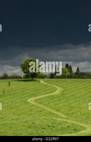 A field with grass and a dark cloudy sky in Ireland Stock Photo - Alamy