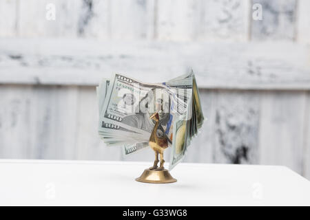 Money bird on table Stock Photo - Alamy