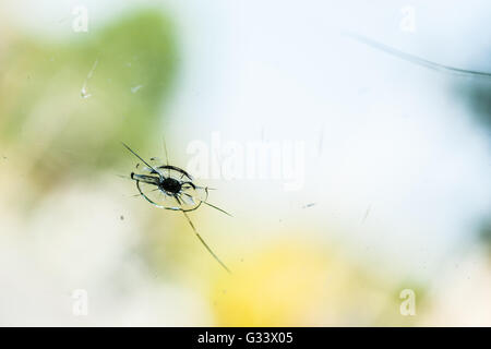 two bullet impact cracks on the windshield of a car Stock Photo - Alamy