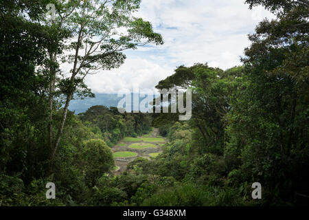 Guayabo de Turrialba, Costa Rica Stock Photo - Alamy