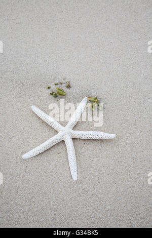 Still life images of Stock Photo - Alamy