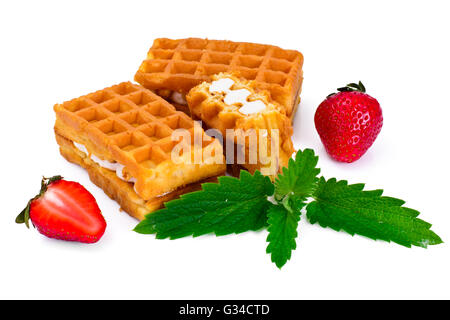 Vienna, Belgian Waffles with Strawberry and Mint Studio Photo Stock ...