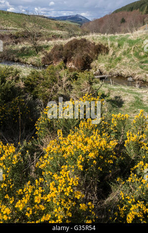 Yarrow, The Scottish Borders, GB, United Kingdom, Scotland, N 55 31' 0 ...