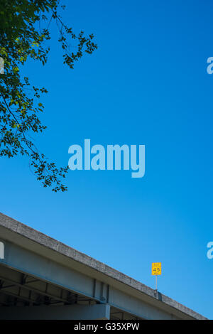 A low angle shot of the trees in the forest Stock Photo - Alamy